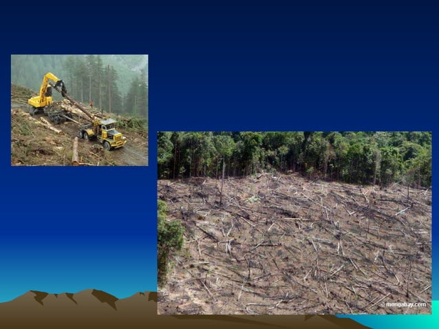 Chapter 7 Section 3 Notes | PPT