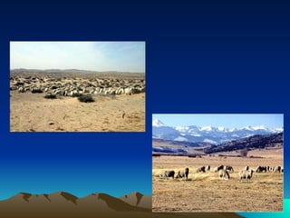 Chapter 7 Section 3 Notes | PPT