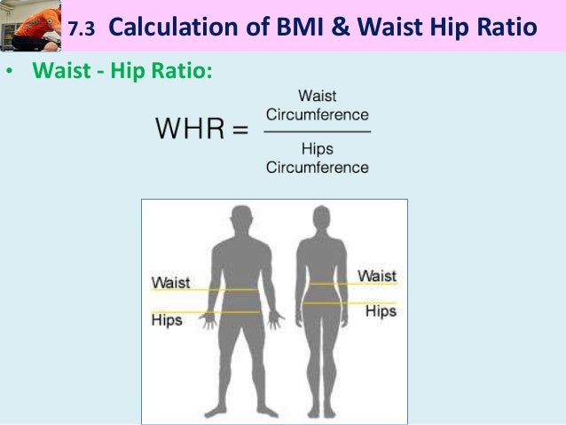Chapter 7 Test and Measurement in Sports