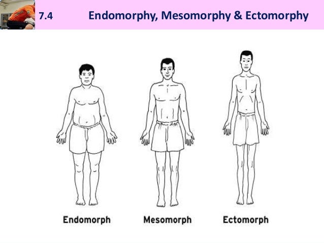 Chapter 7 Test and Measurement in Sports