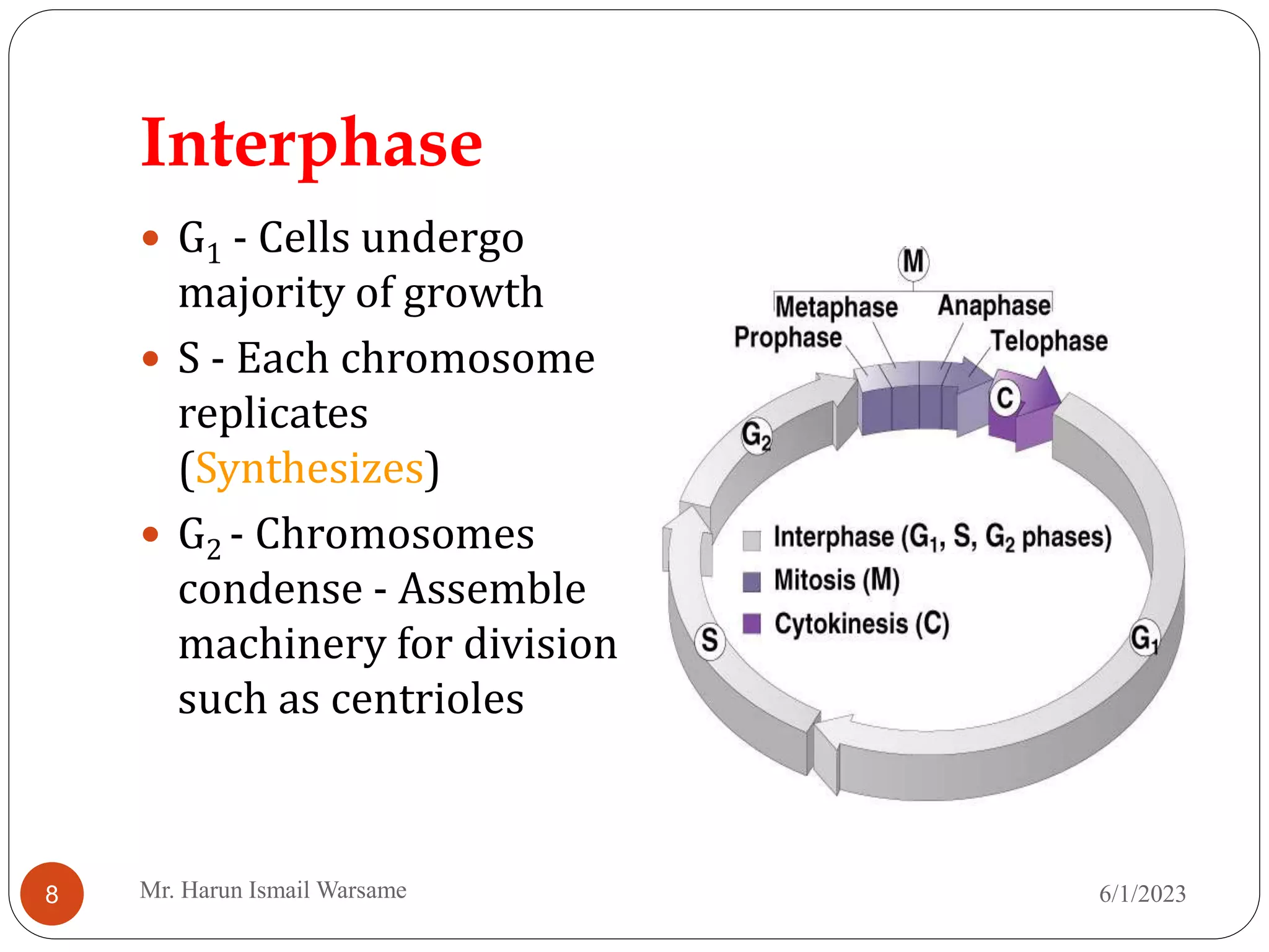 Chapter 7 The cell cycle.ppt