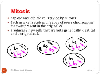 Chapter 7 The cell cycle.ppt