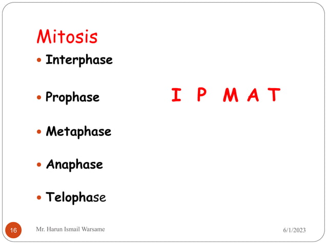 Chapter 7 The cell cycle.ppt