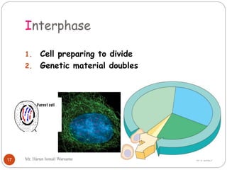Chapter 7 The cell cycle.ppt