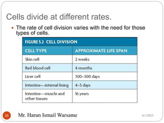 Chapter 7 The cell cycle.ppt