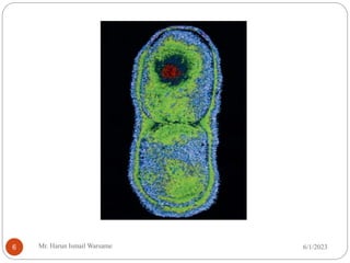Chapter 7 The cell cycle.ppt