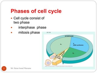 Chapter 7 The cell cycle.ppt