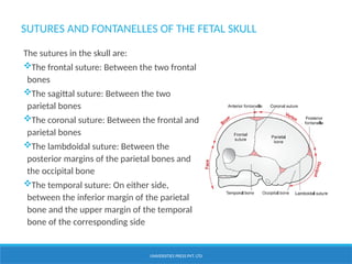 Chapter 7 the fetus in normal pregnancy .pptx