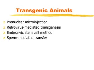 Transgenic animals.How we Produce transgenic animals | PPT