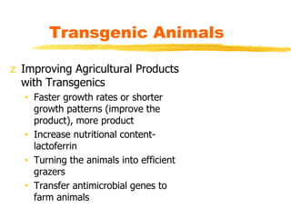 Transgenic animals.How we Produce transgenic animals | PPT