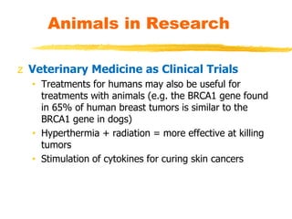 Transgenic animals.How we Produce transgenic animals | PPT