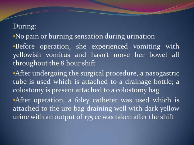 Sample Gordon's Functional Health Pattern: Intestinal Obstruction ...