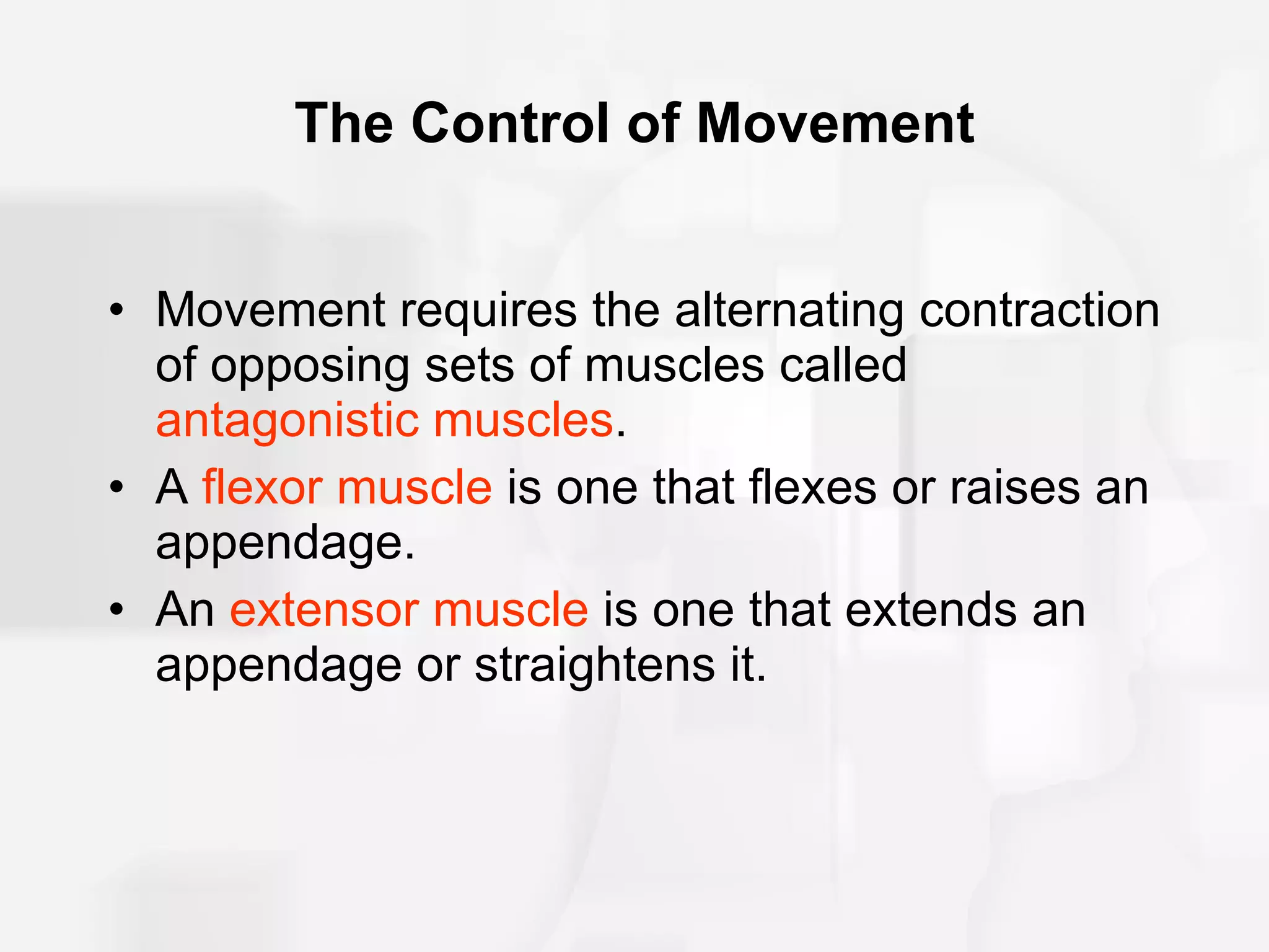Chapter 8 power point presentation | PPT