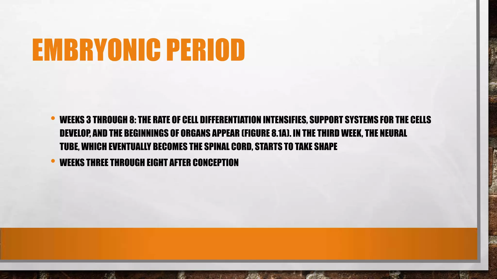 Chapter 8 Human Development Psy | PPTX