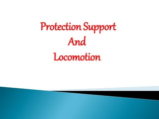Human Protection Support and Locomotion | PPTX