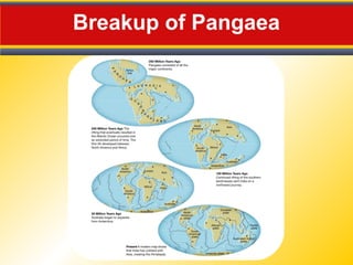 Plate Tectonics | PPT