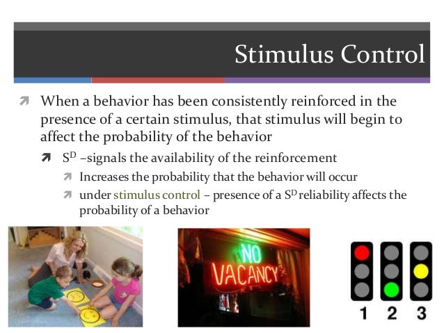 Chapter8.learning.yosai