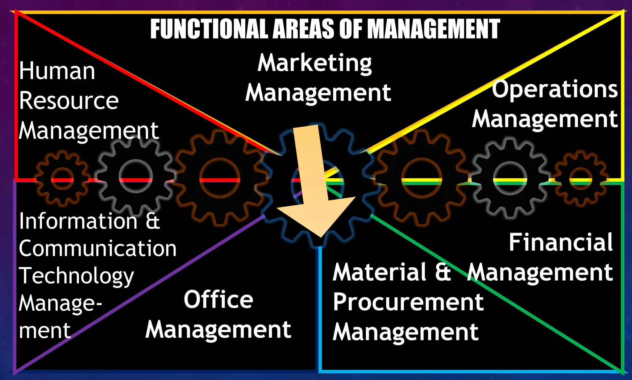Chapter 8 : Introduction to the Different Functional Areas of ...