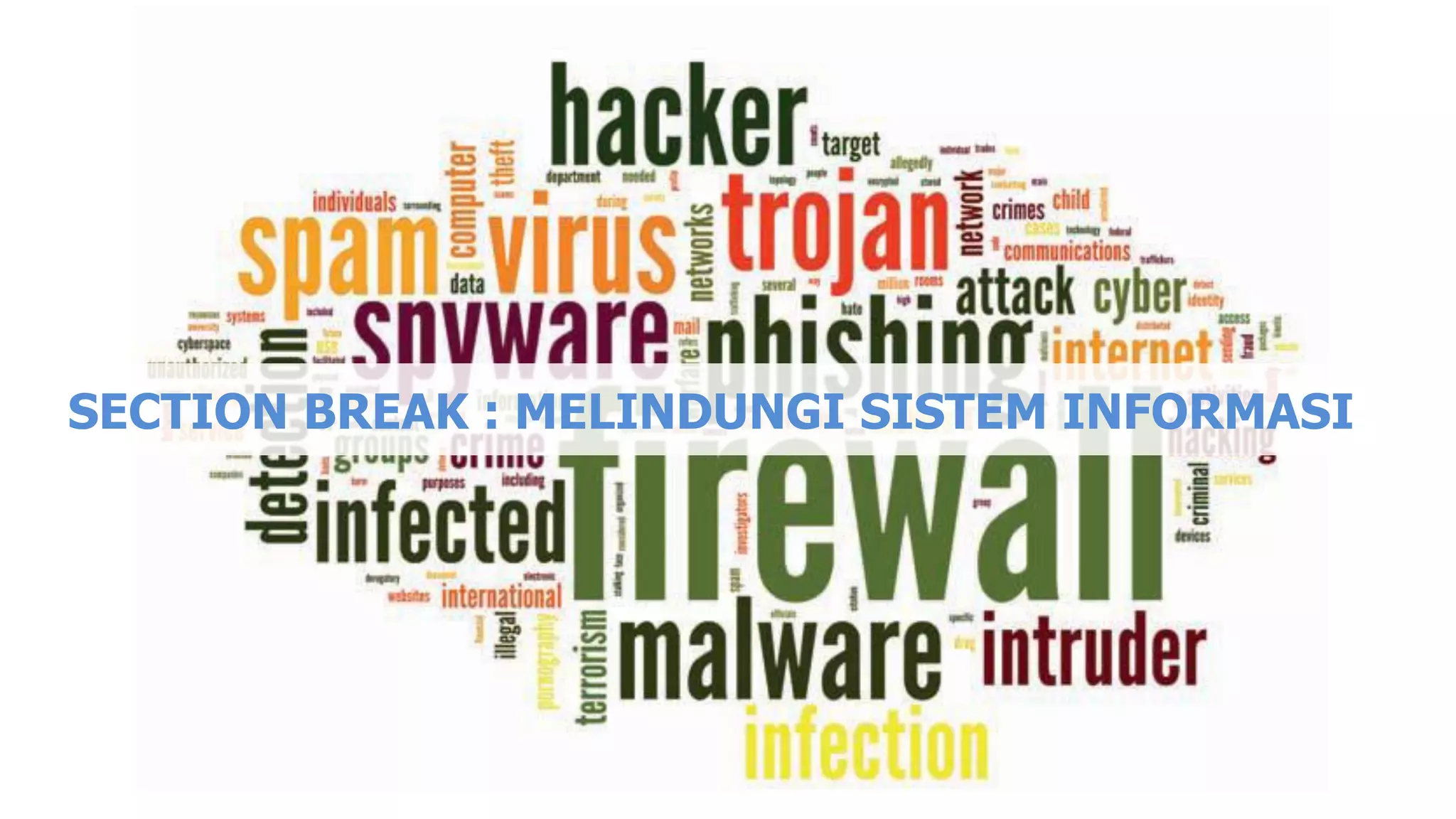 Chapter 8. protecting information systems | PPT