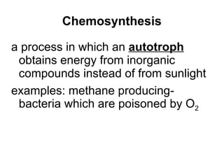 Chapter 8 2 Photosynthesis | PPT