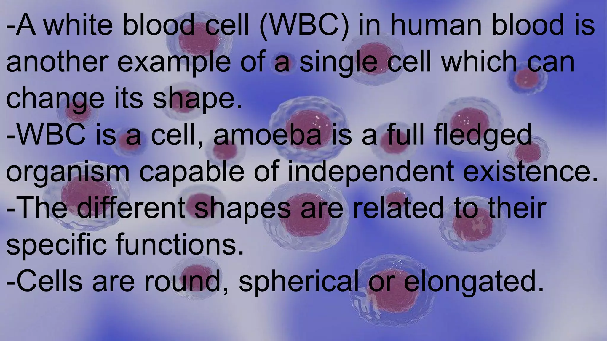 Chapter 8 cells-structure and functions class 8 science | PDF