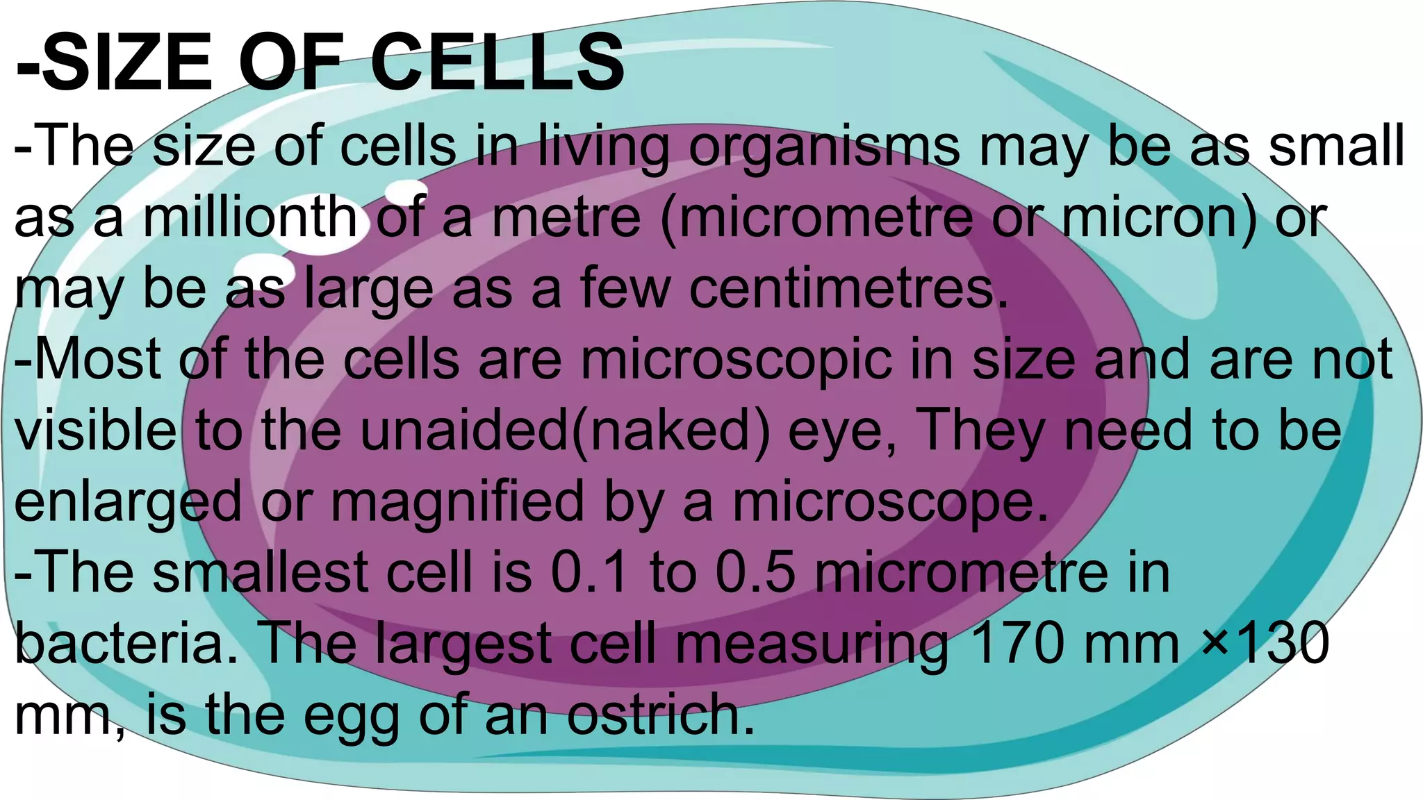 Chapter 8 cells-structure and functions class 8 science | PDF