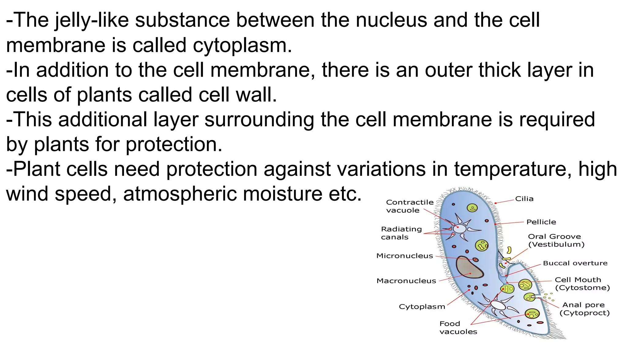 Chapter 8 cells-structure and functions class 8 science | PDF