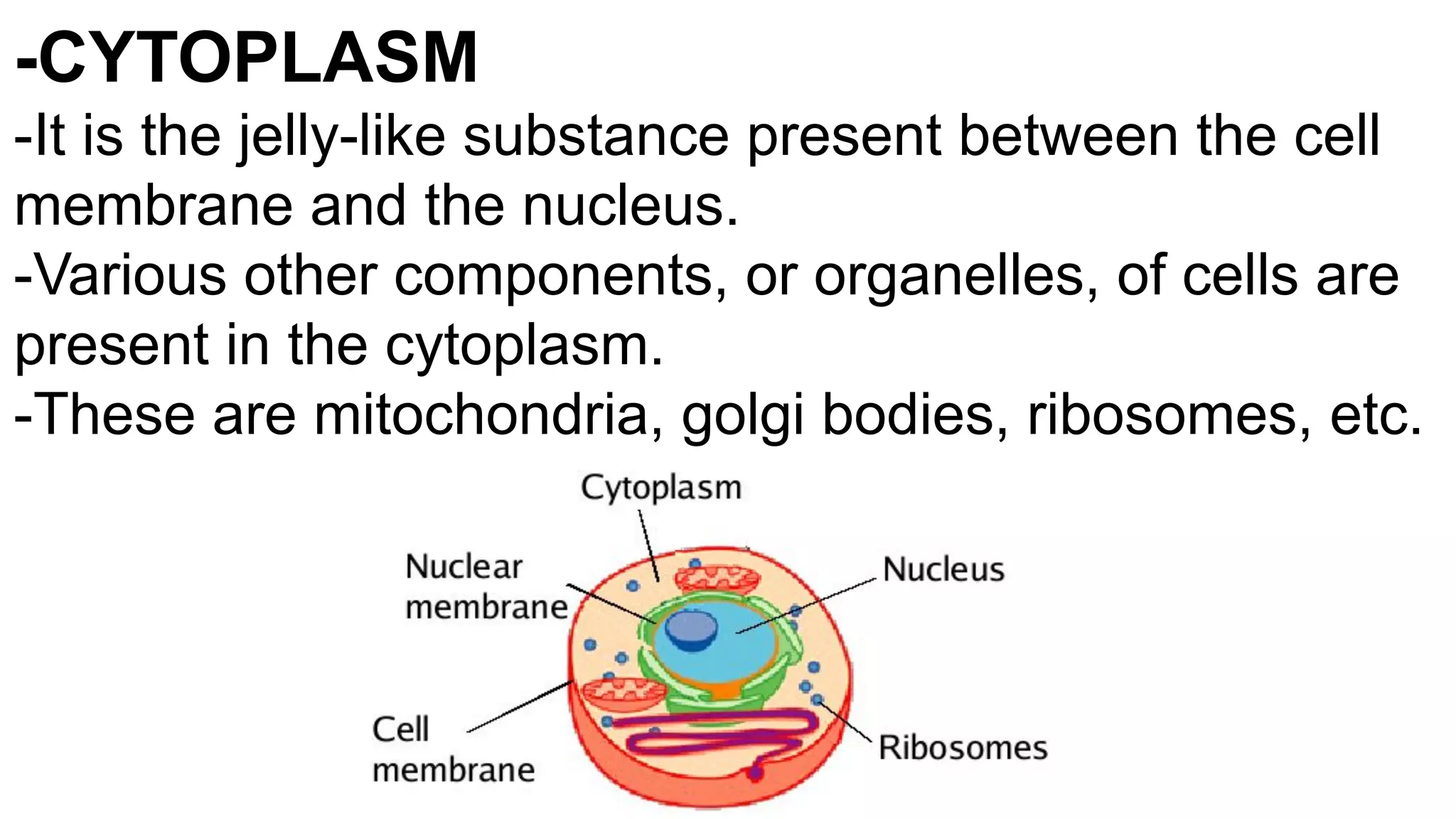 Chapter 8 cells-structure and functions class 8 science | PDF