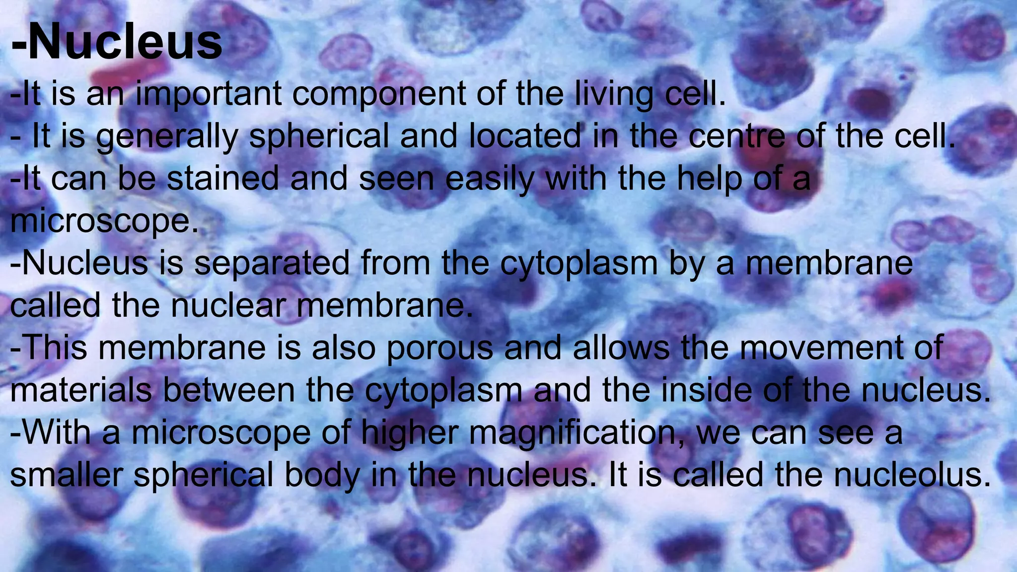 Chapter 8 cells-structure and functions class 8 science | PDF