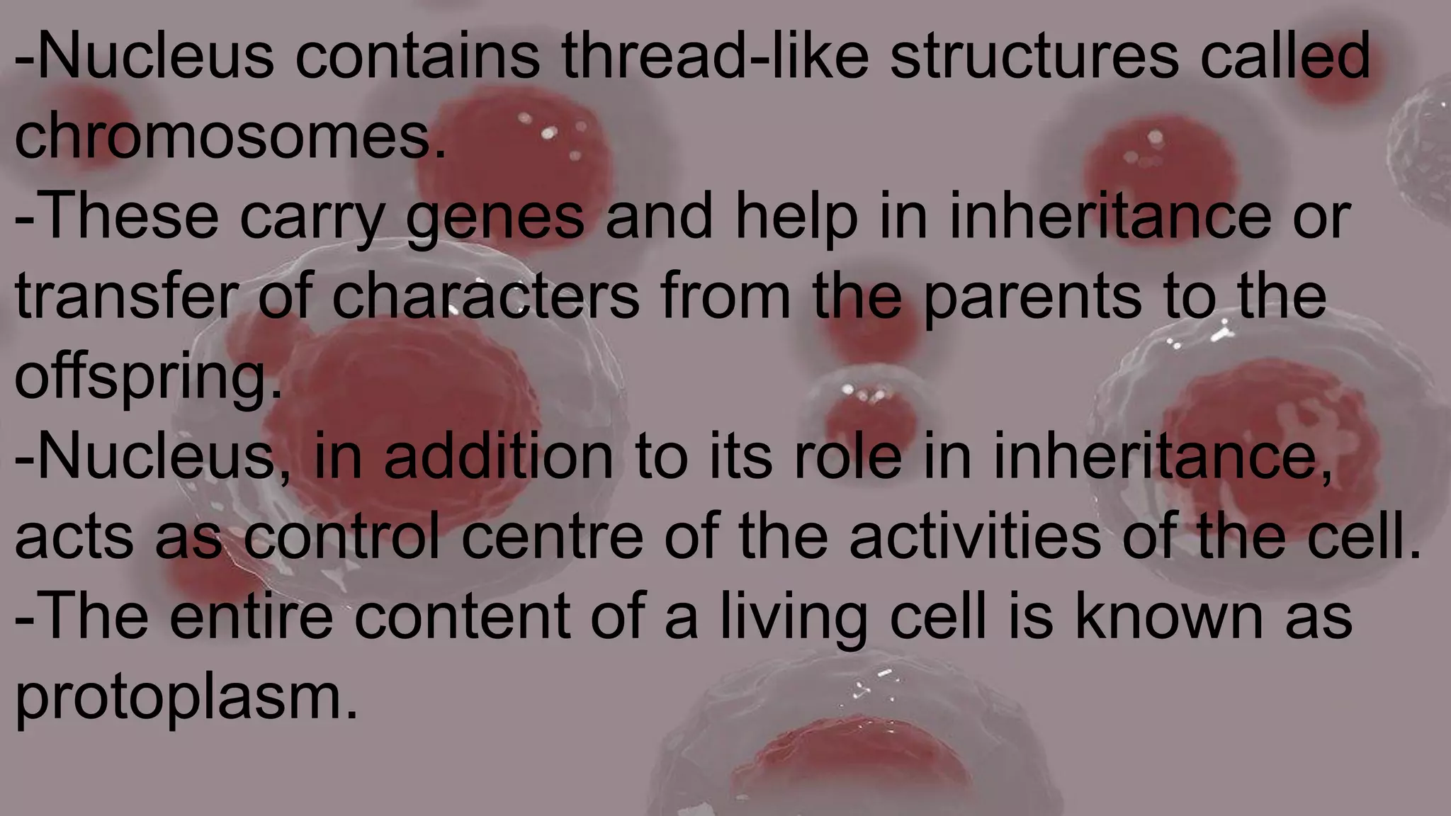 Chapter 8 cells-structure and functions class 8 science | PDF