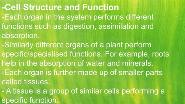 Chapter 8 cells-structure and functions class 8 science | PDF