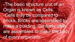 Chapter 8 cells-structure and functions class 8 science | PDF