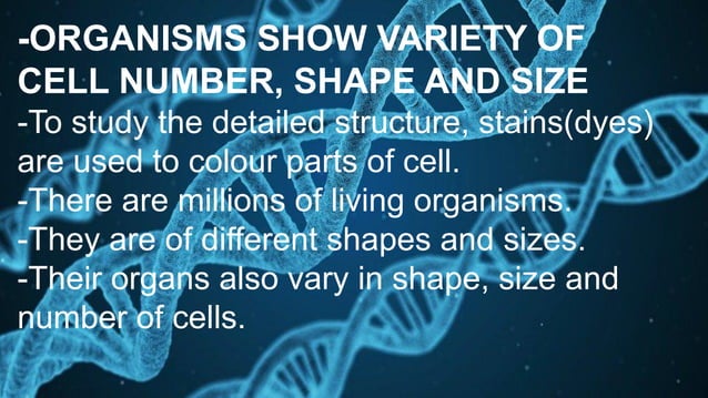 Chapter 8 cells-structure and functions class 8 science | PDF