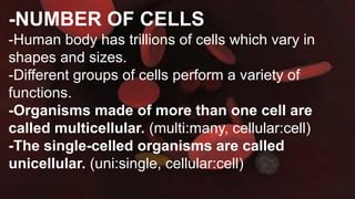 Chapter 8 cells-structure and functions class 8 science | PDF