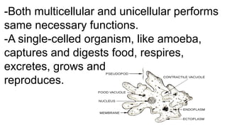 Chapter 8 cells-structure and functions class 8 science | PDF