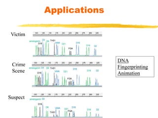 DNA FINGERPRINTING | PPT