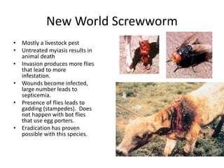 Chapter 8. Medical entomology.pptx