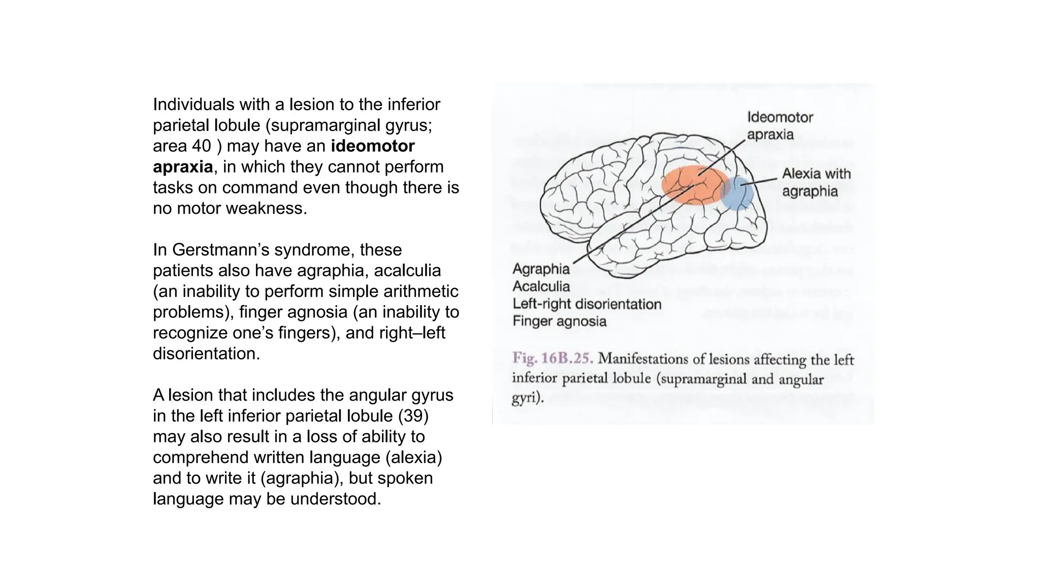Visual Pathways: Ophthalmology textbook AK khurana comprehensive ...