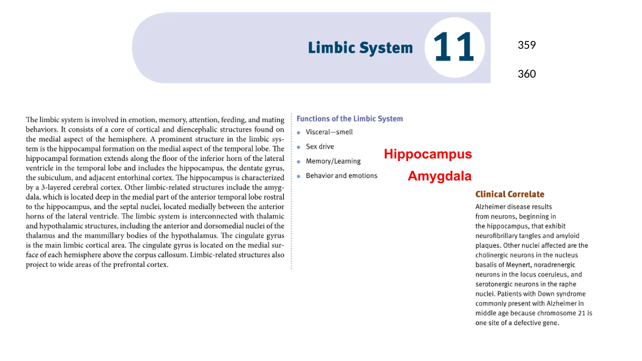 Visual Pathways: Ophthalmology textbook AK khurana comprehensive ...