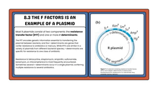 Genetic Analysis and Mapping in Bacteria and Bacteriophages | PDF