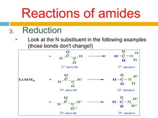 Chapter 8 amide | PPT