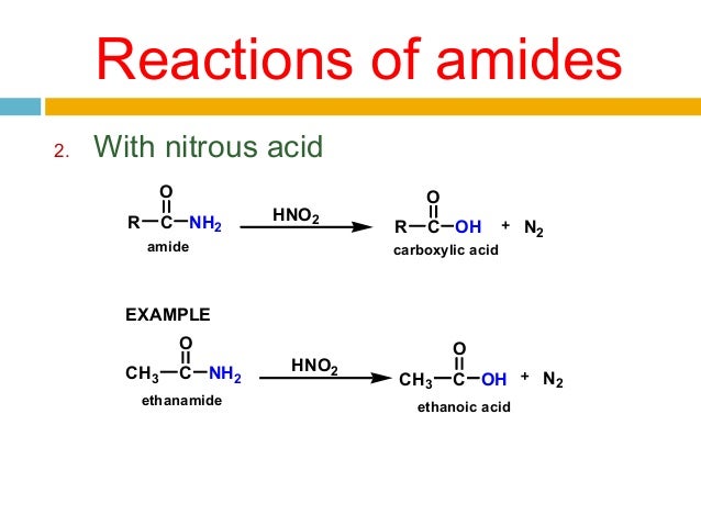Chapter 8 amide