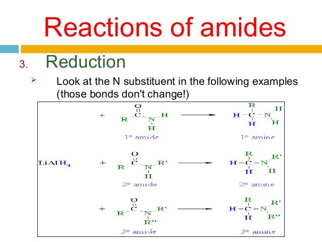 Chapter 8 amide