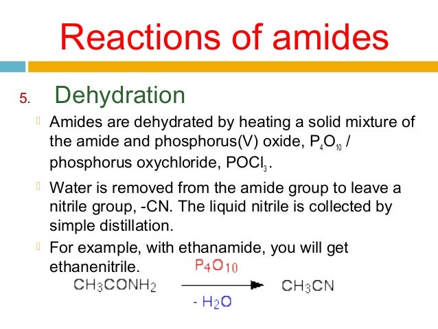 Chapter 8 amide