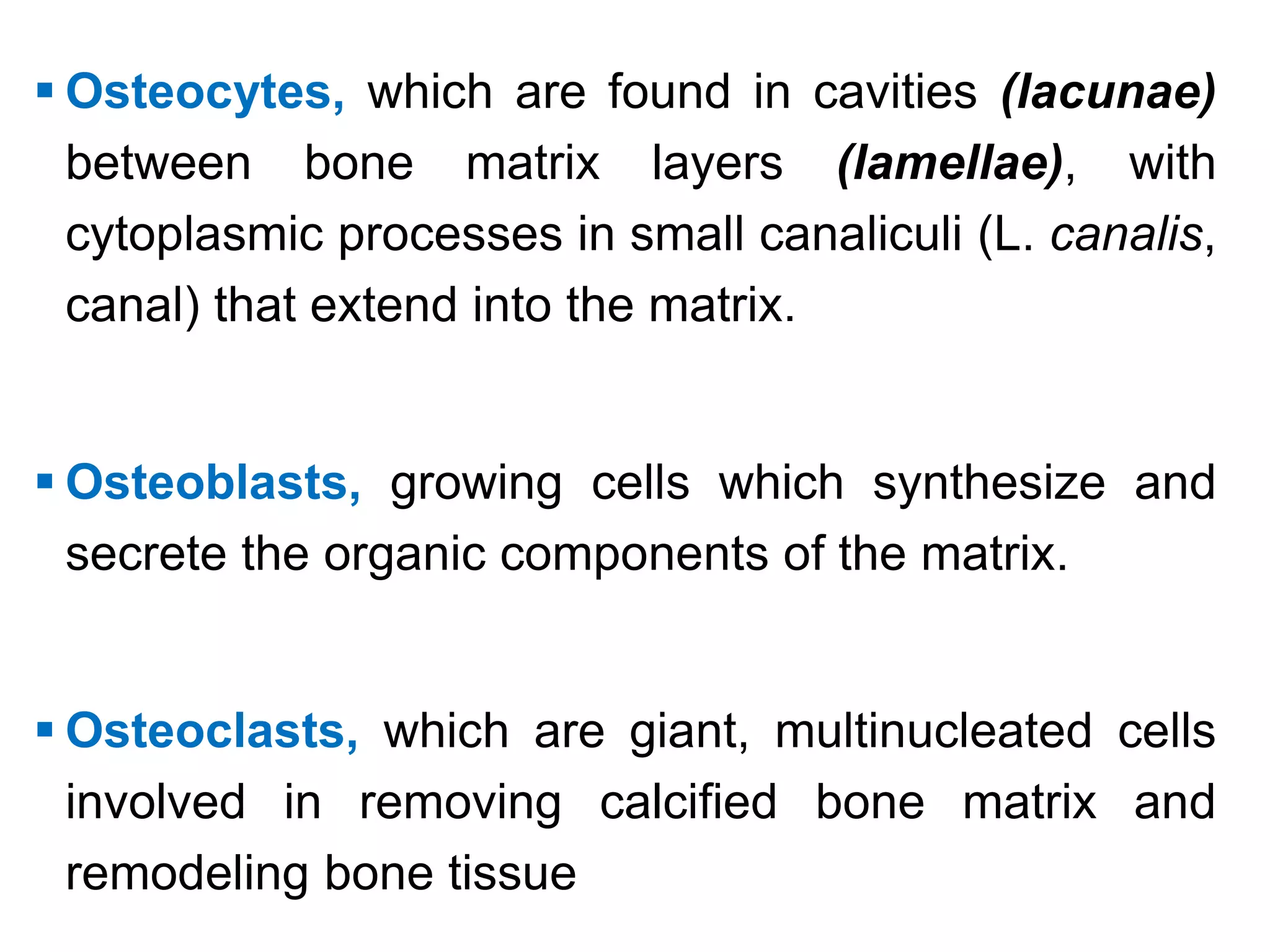 Bone Histology | PPTX