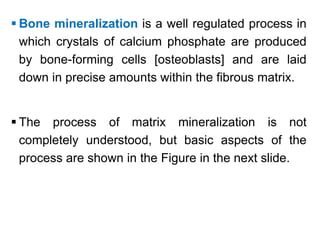 Bone Histology | PPTX
