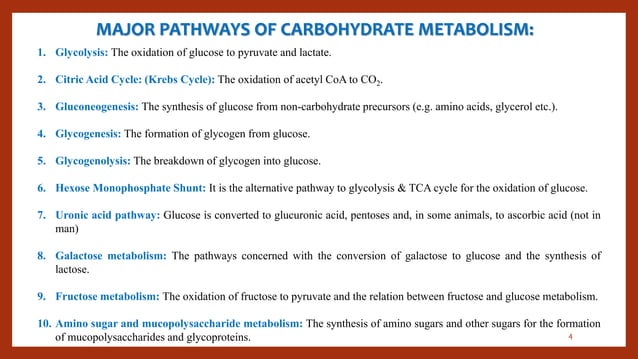 Carbohydrate metabolism | PPT