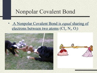 covalent bond | PPT