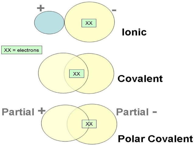 covalent bond | PPT | Chemistry | Science