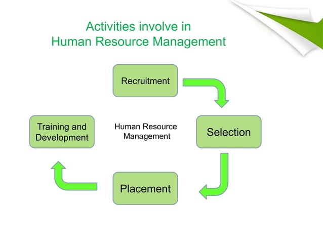 Functional Areas of Management | PPT